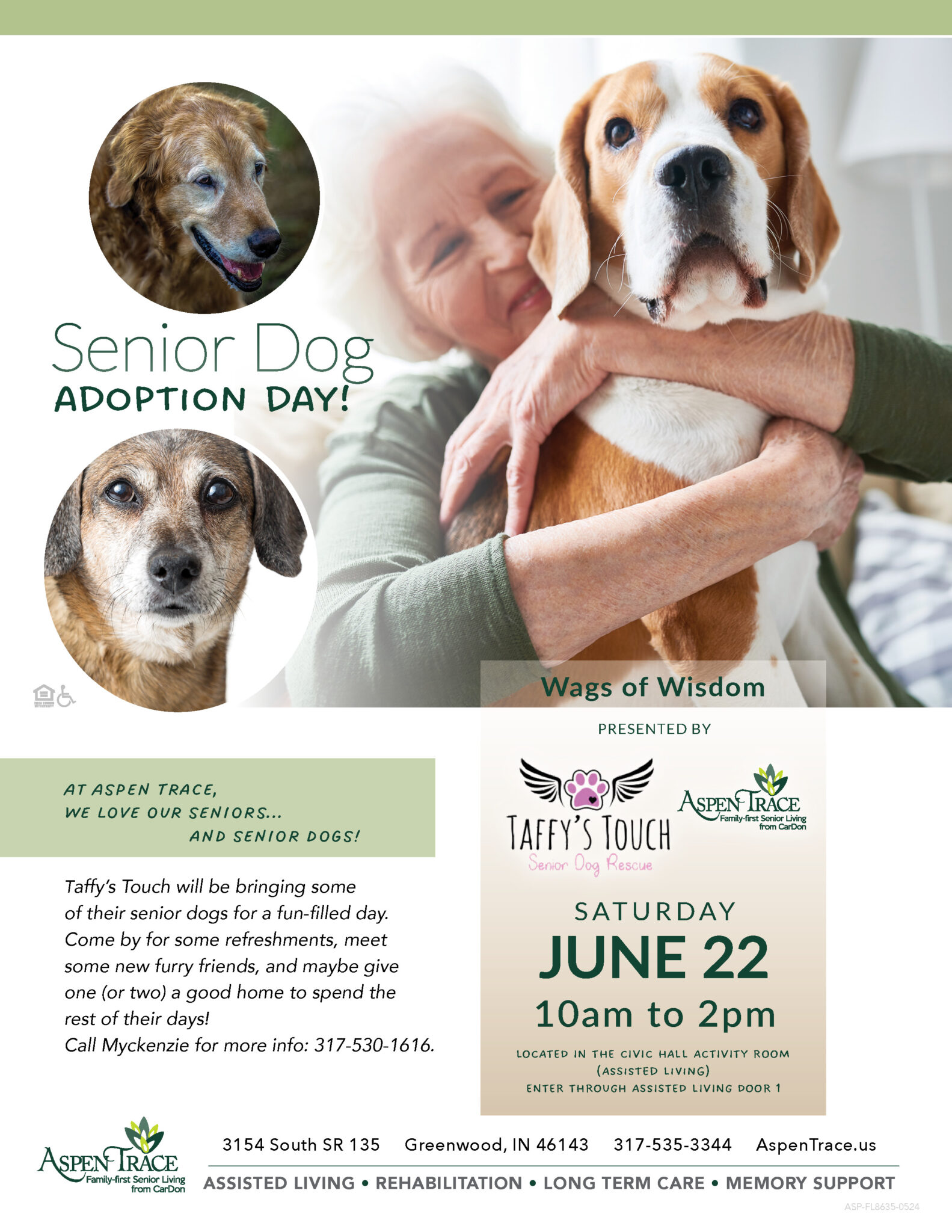 Senior Dog Adoption Day | CarDon & Associates Inc.